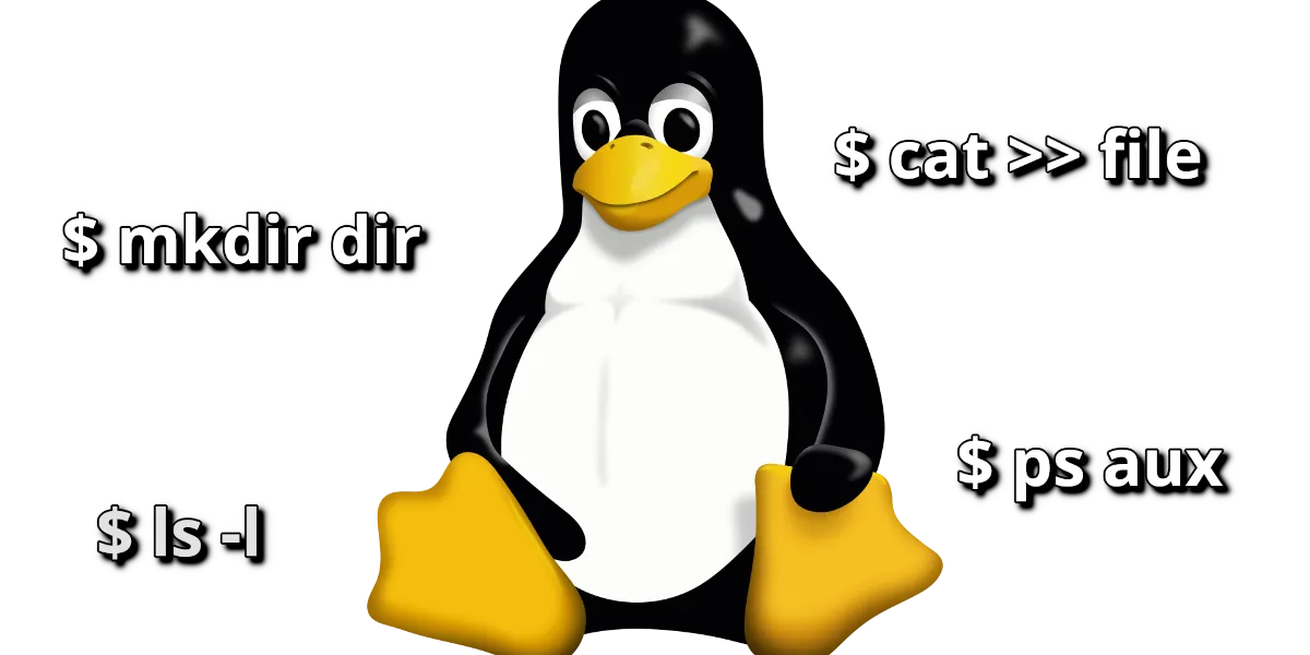 Basic Linux Commands - Drygast.NET